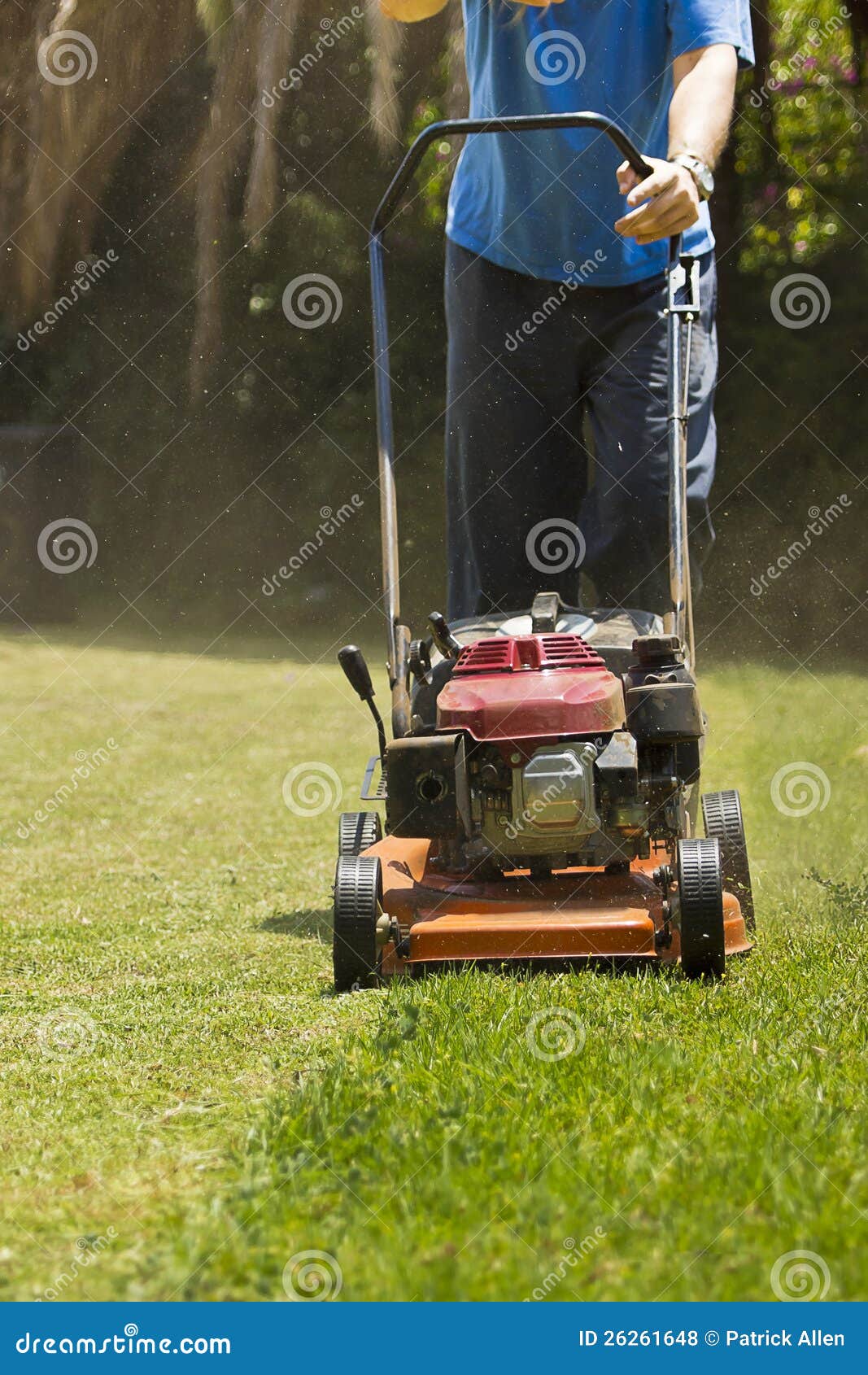 In the Garden - Mowing Lawn Stock Photo - Image of landscaped, flatten ...