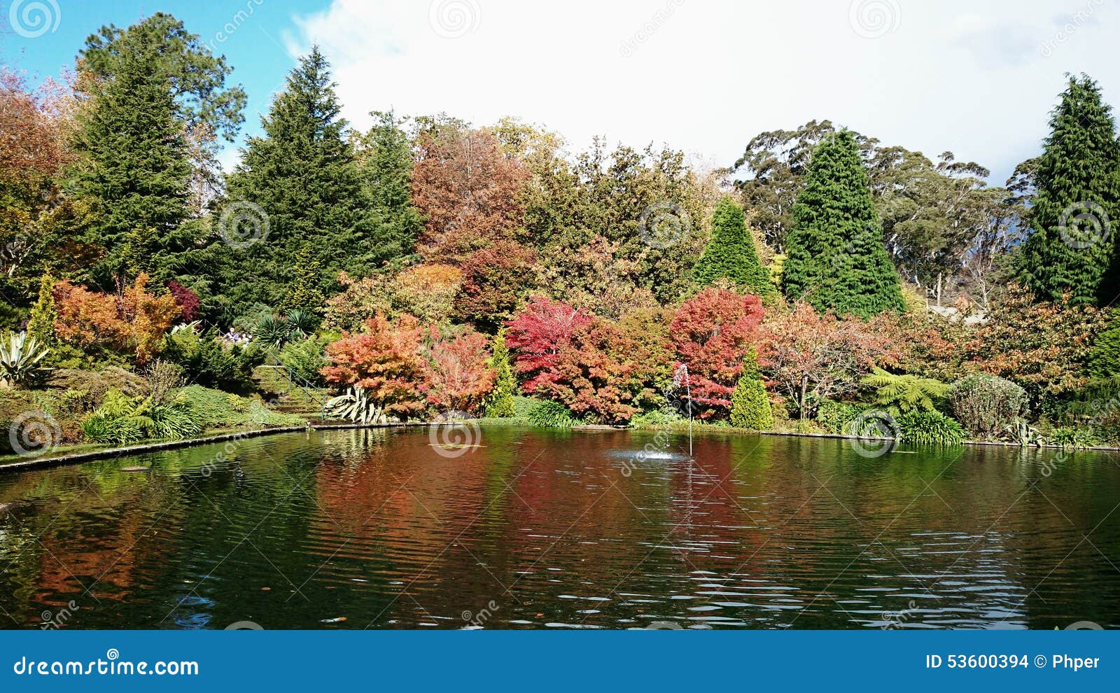 Garden @ Mt Wilson, Australia @ Mount Wilson, Blue Mountains Australia ...