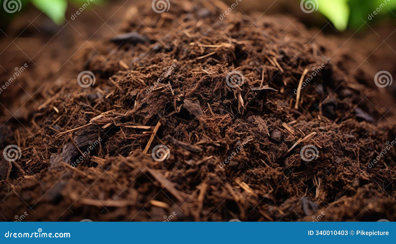 Contrast Mulch Texture Royalty-Free Cartoon | CartoonDealer.com #368660282