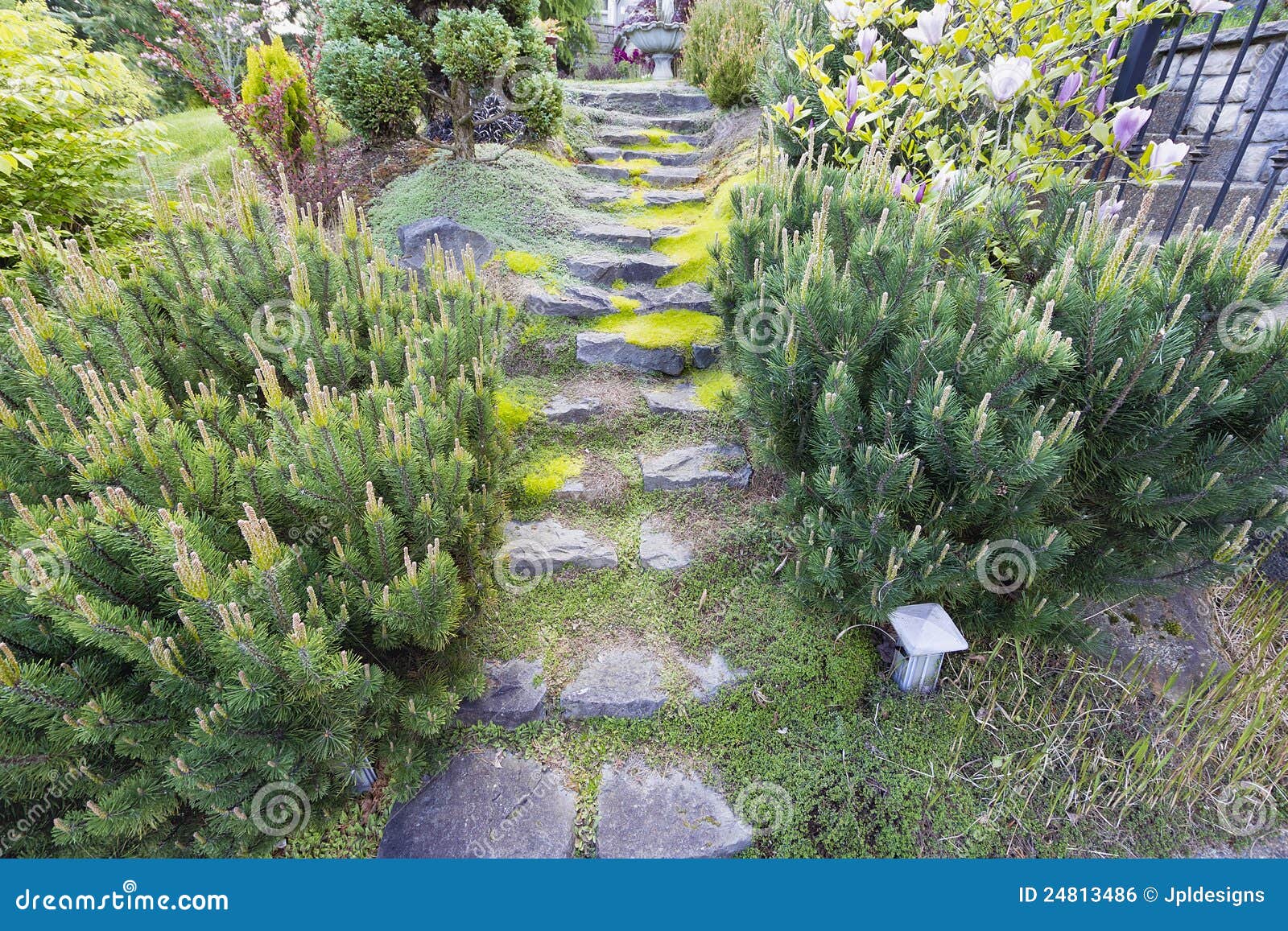 Garden Natural Granite Stone Steps Stock Photo - Image of arborvitae ...