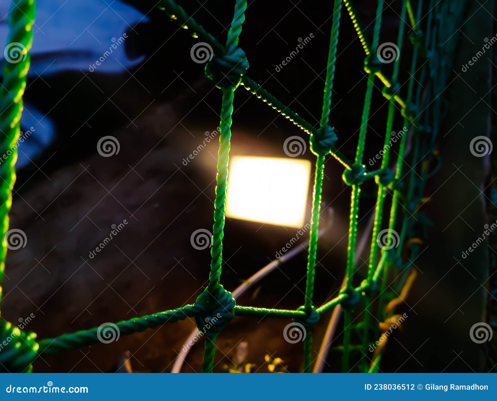 Garden nets and lights stock photo. Image of grass, light - 238036512