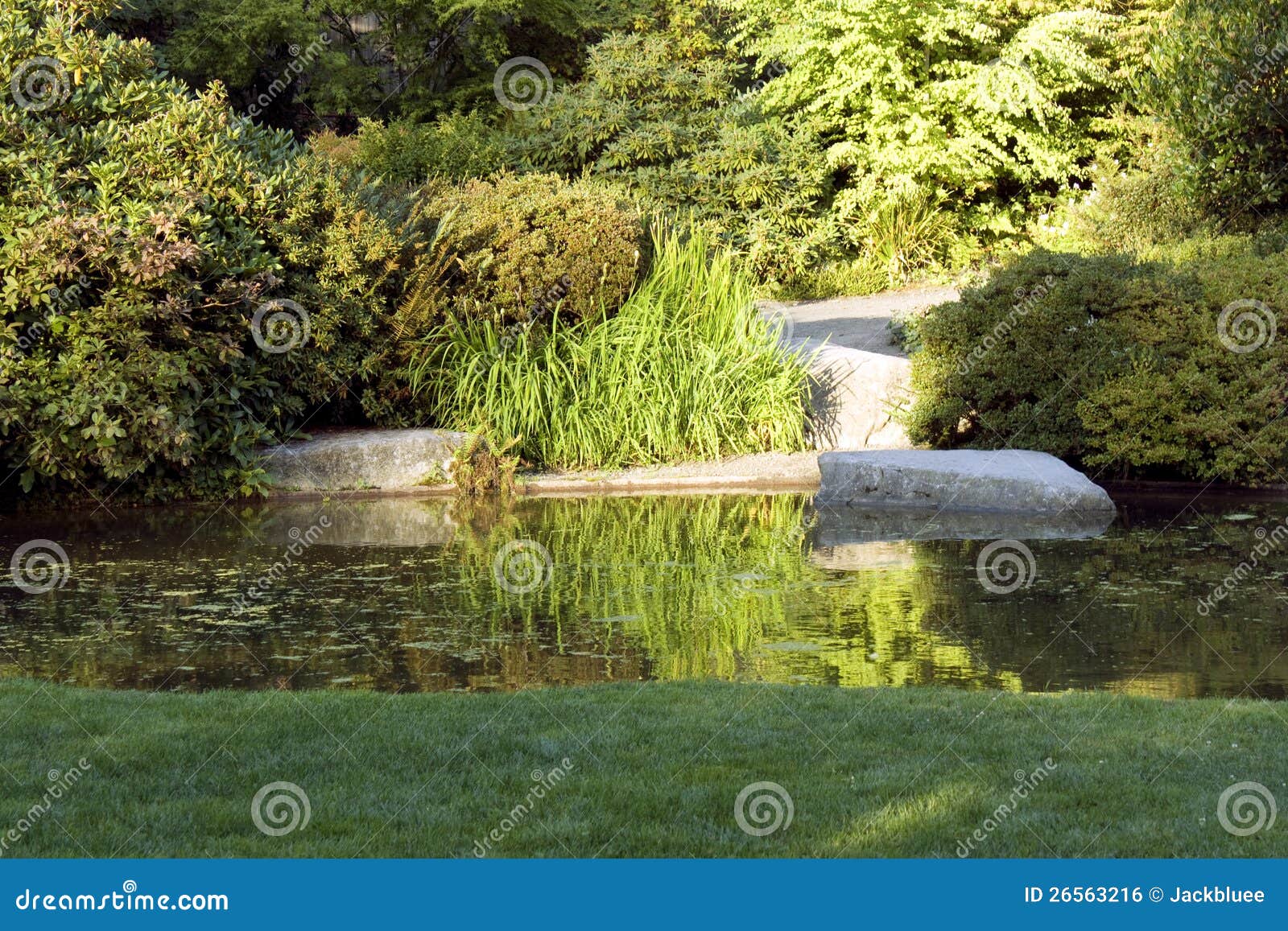 Garden with Nice Lawn and Pond Stock Photo - Image of lawn, garden ...