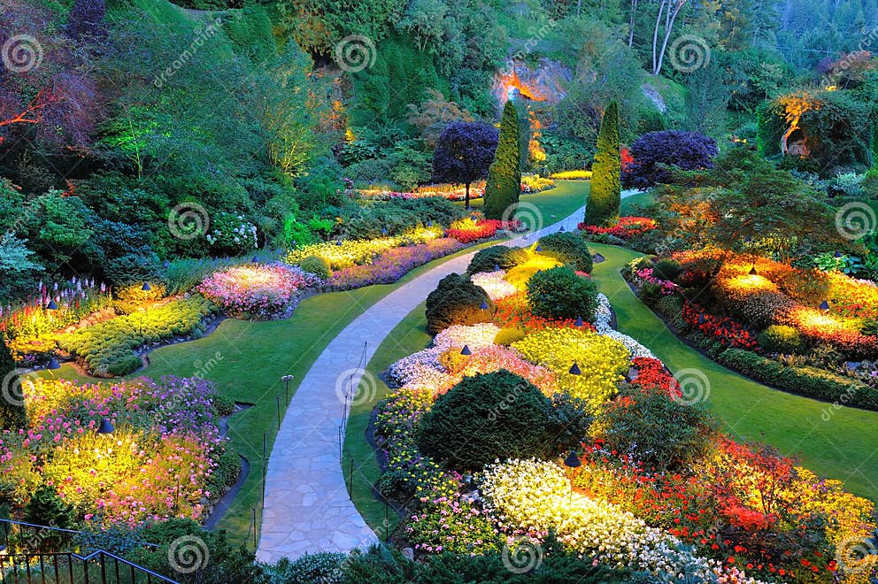 Garden night scene stock image. Image of illuminate, lawn - 11590933