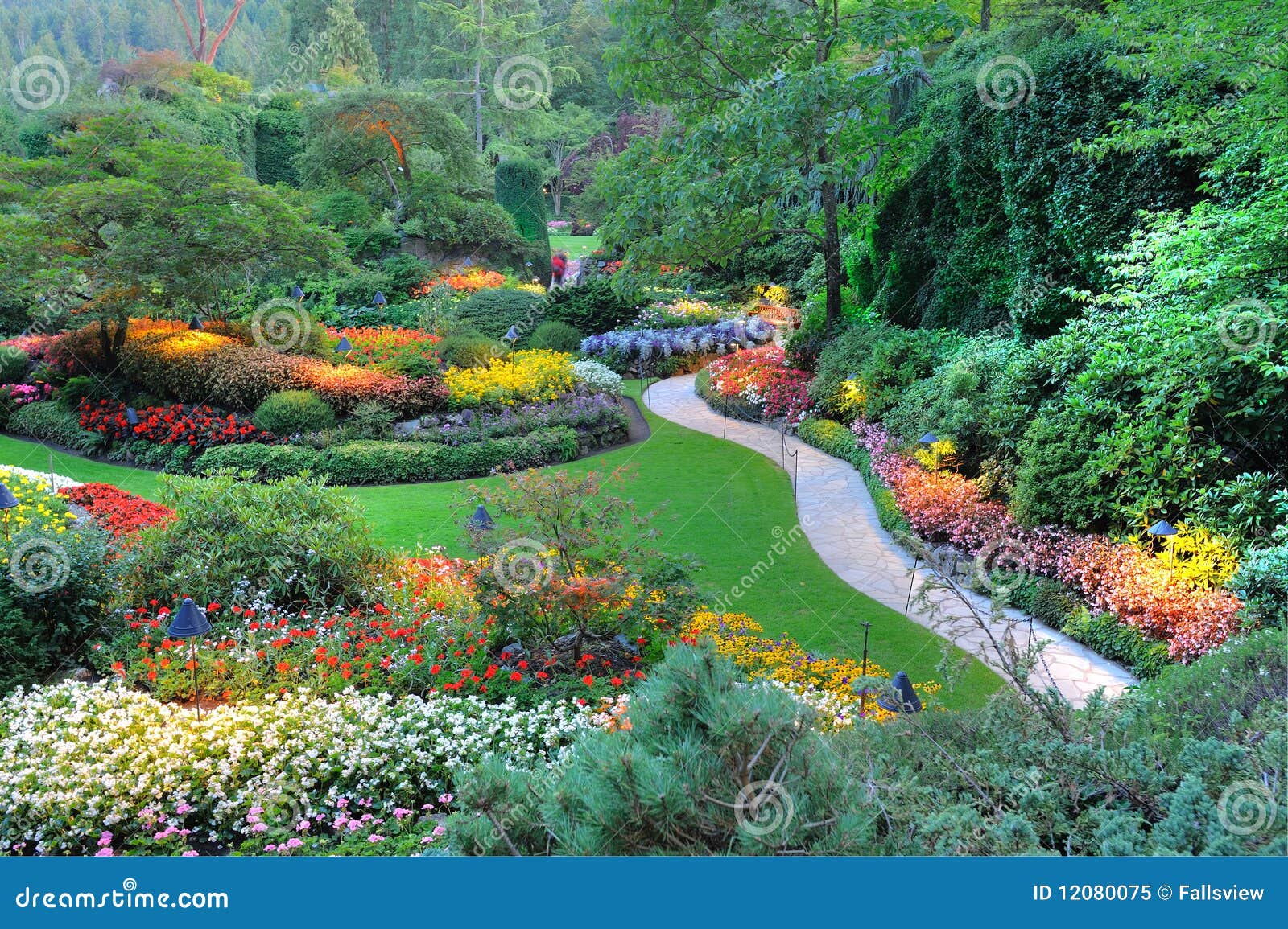 Garden night scene stock image. Image of color, illuminate - 12080075