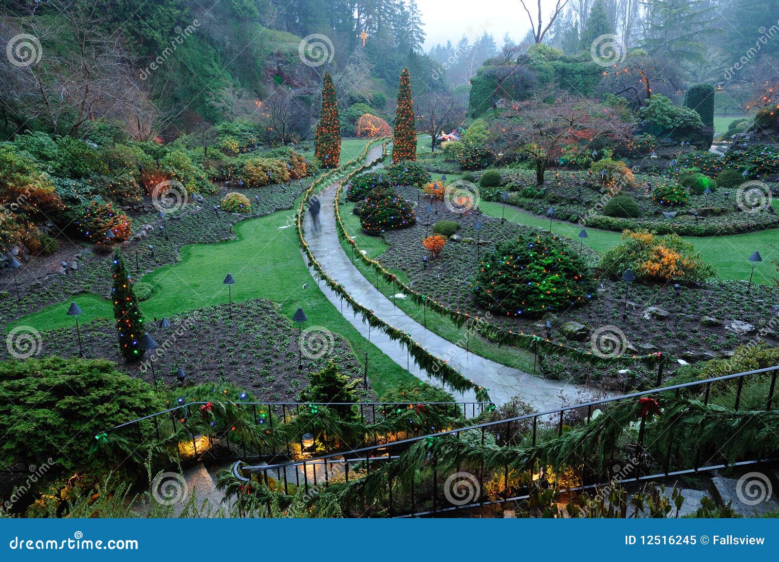 Garden night scene stock image. Image of design, gardening - 12516245