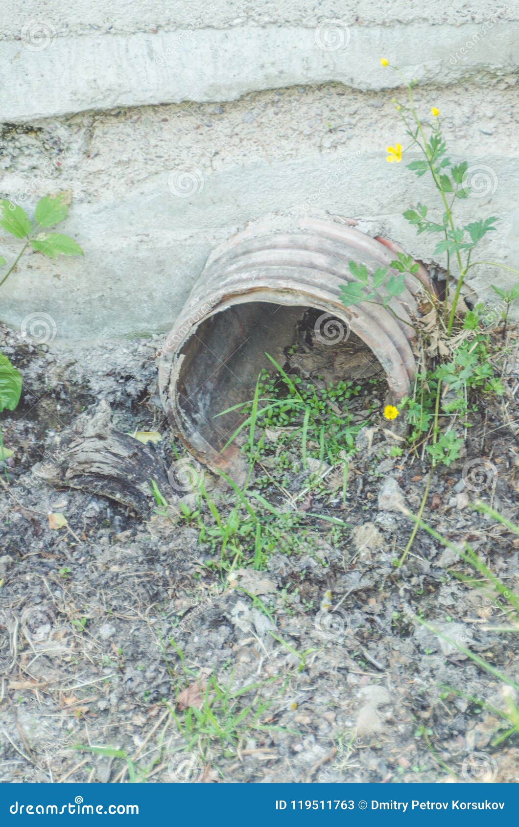 In the Garden, No Water in the Ditch, Drought Stock Image - Image of ...