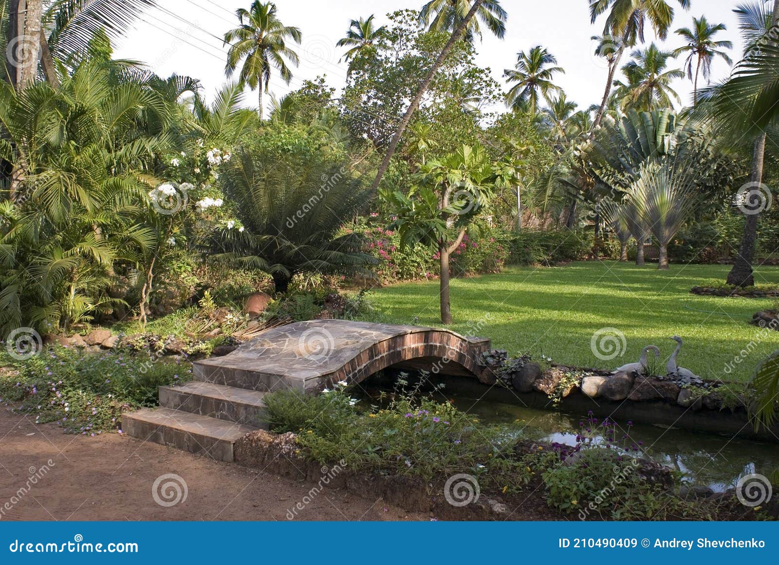 Garden in North Goa. Goa State Stock Image - Image of indian, asia ...