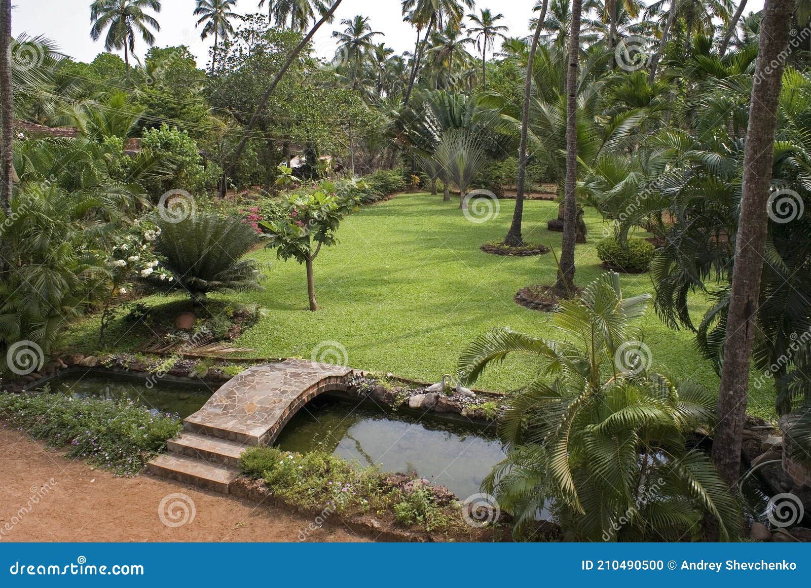 Garden in North Goa. Goa State Stock Photo - Image of green, gerard ...