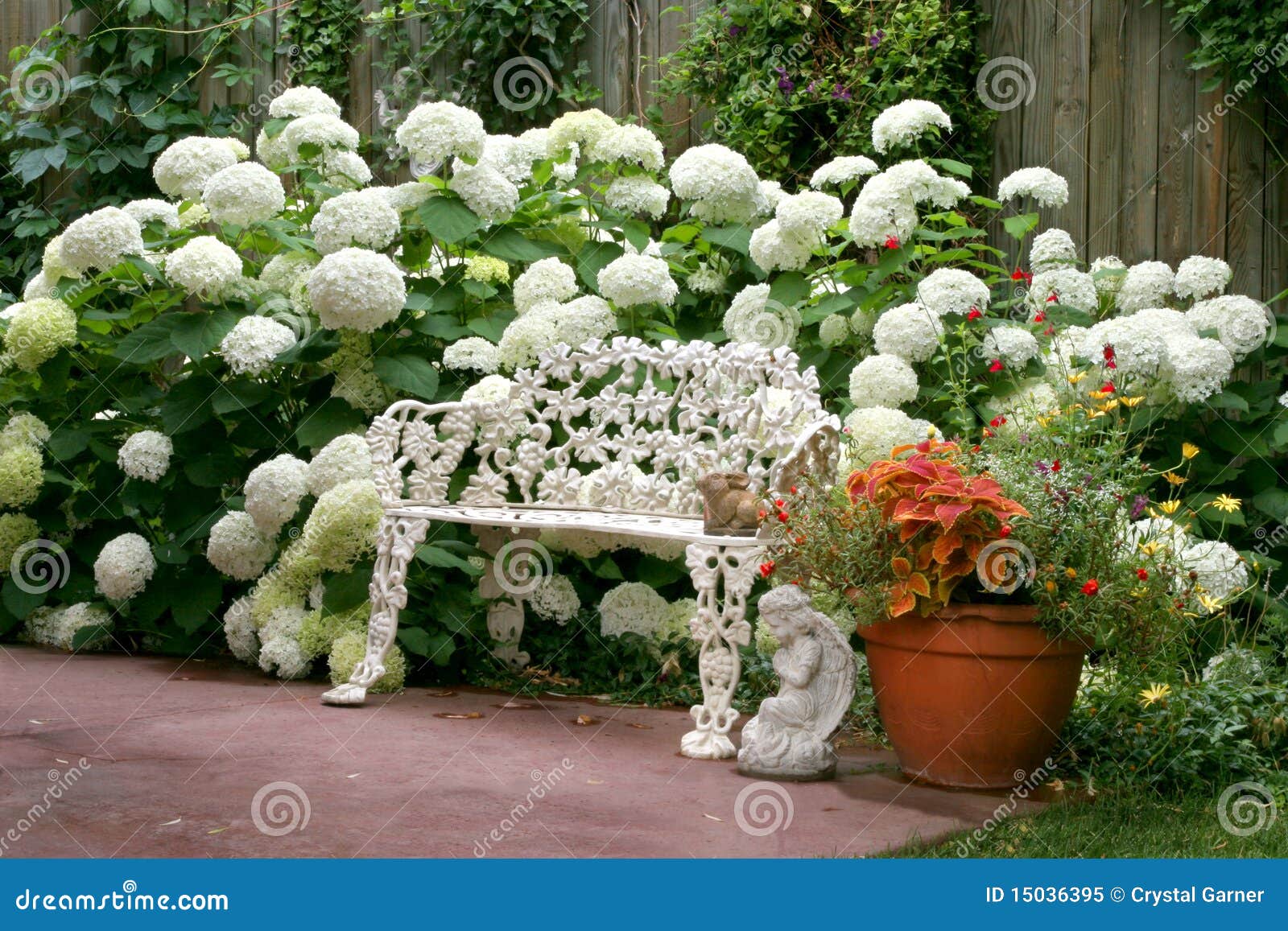 Garden Oasis stock image. Image of blooming, blossoms - 15036395