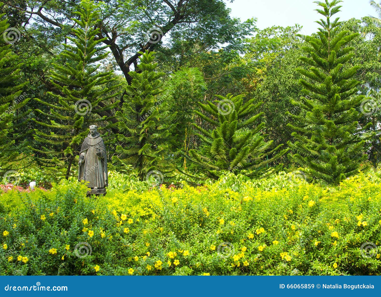Garden in Old Goa stock image. Image of flowers, trees - 66065859