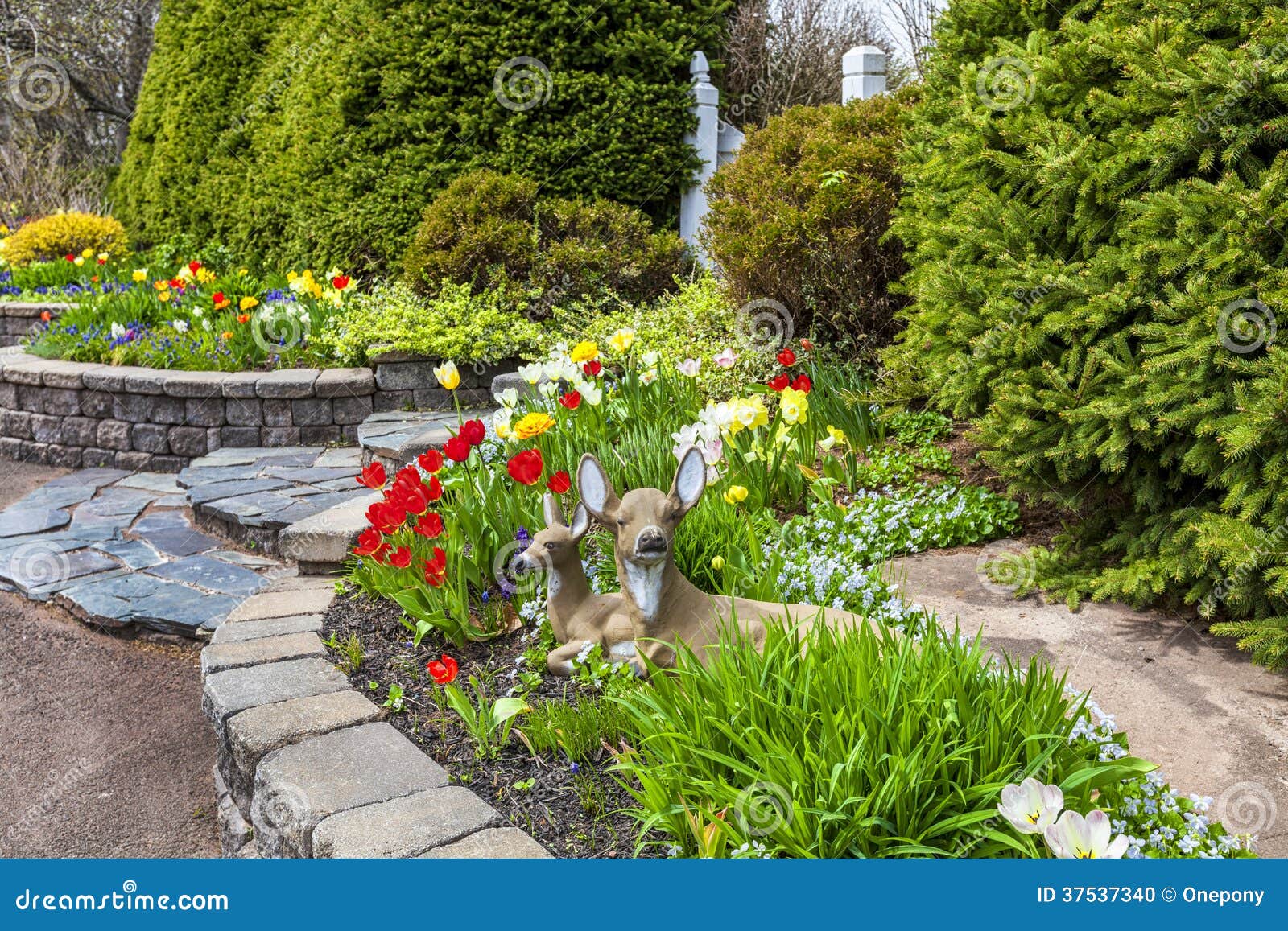 Garden Ornaments stock photo. Image of flower, size, spring - 37537340