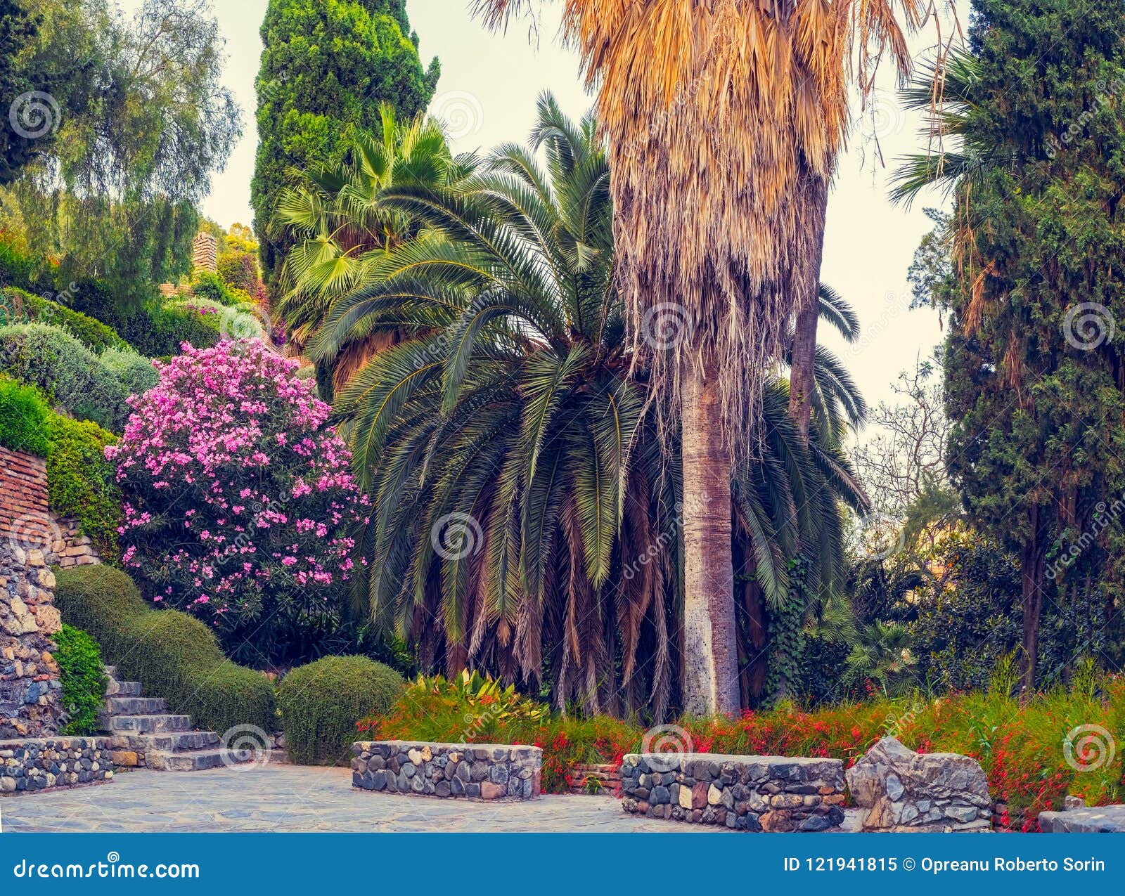 Garden with Palms Tree, Flowers and Stone Stairs Stock Image - Image of ...