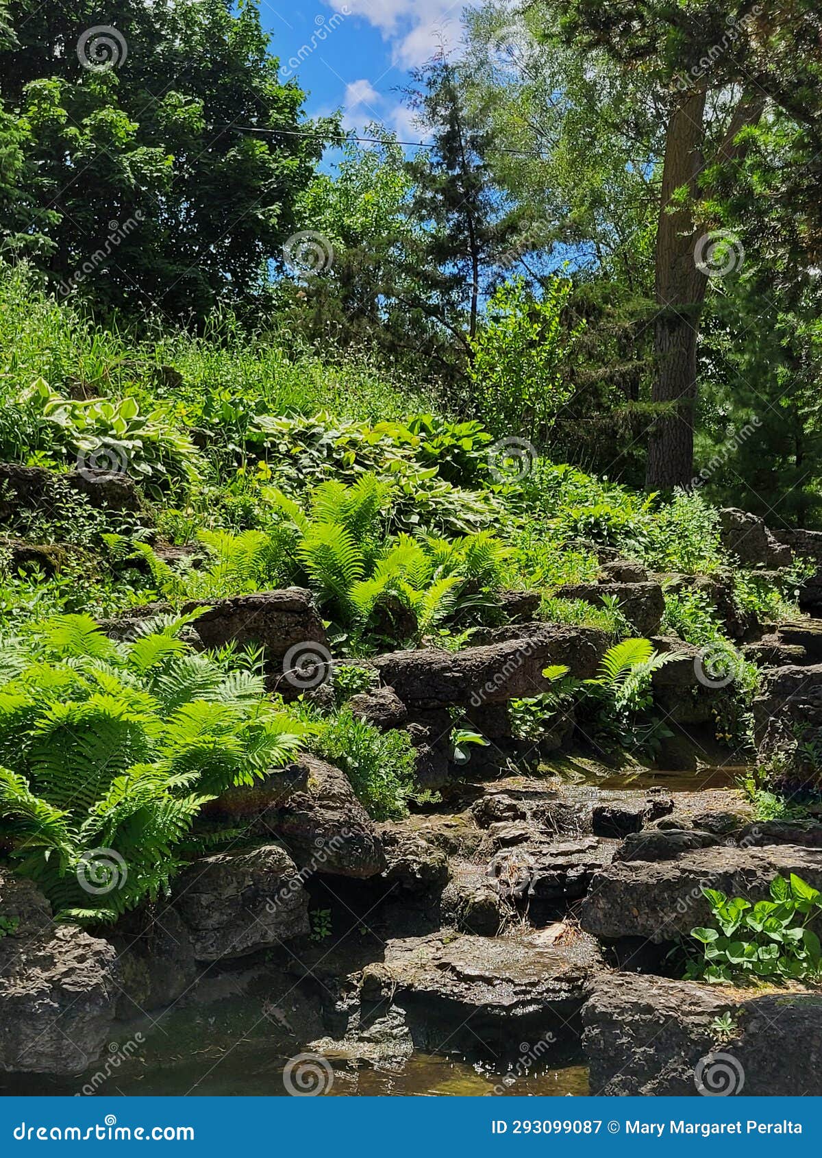 Garden Paradise in Kitchener, Ontario Stock Image - Image of ontario ...