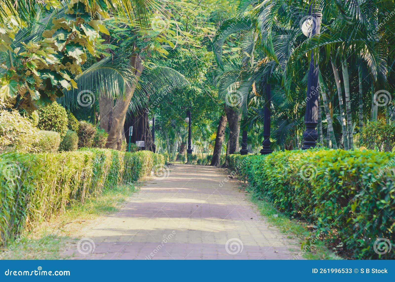 Garden Park Lane. Garden Road in Summer Sunset Sunlight Stock Image ...