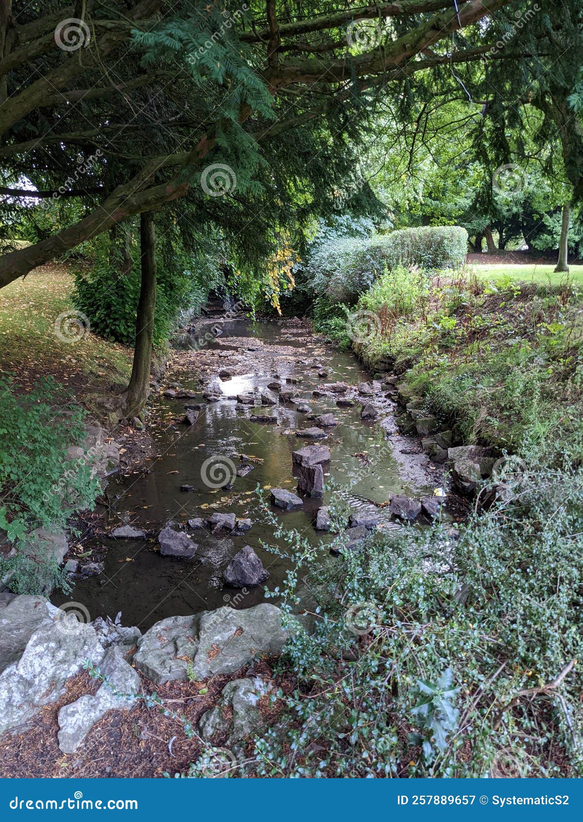 Garden Park Stream Stones Trees Stock Image - Image of japan, beautiful ...