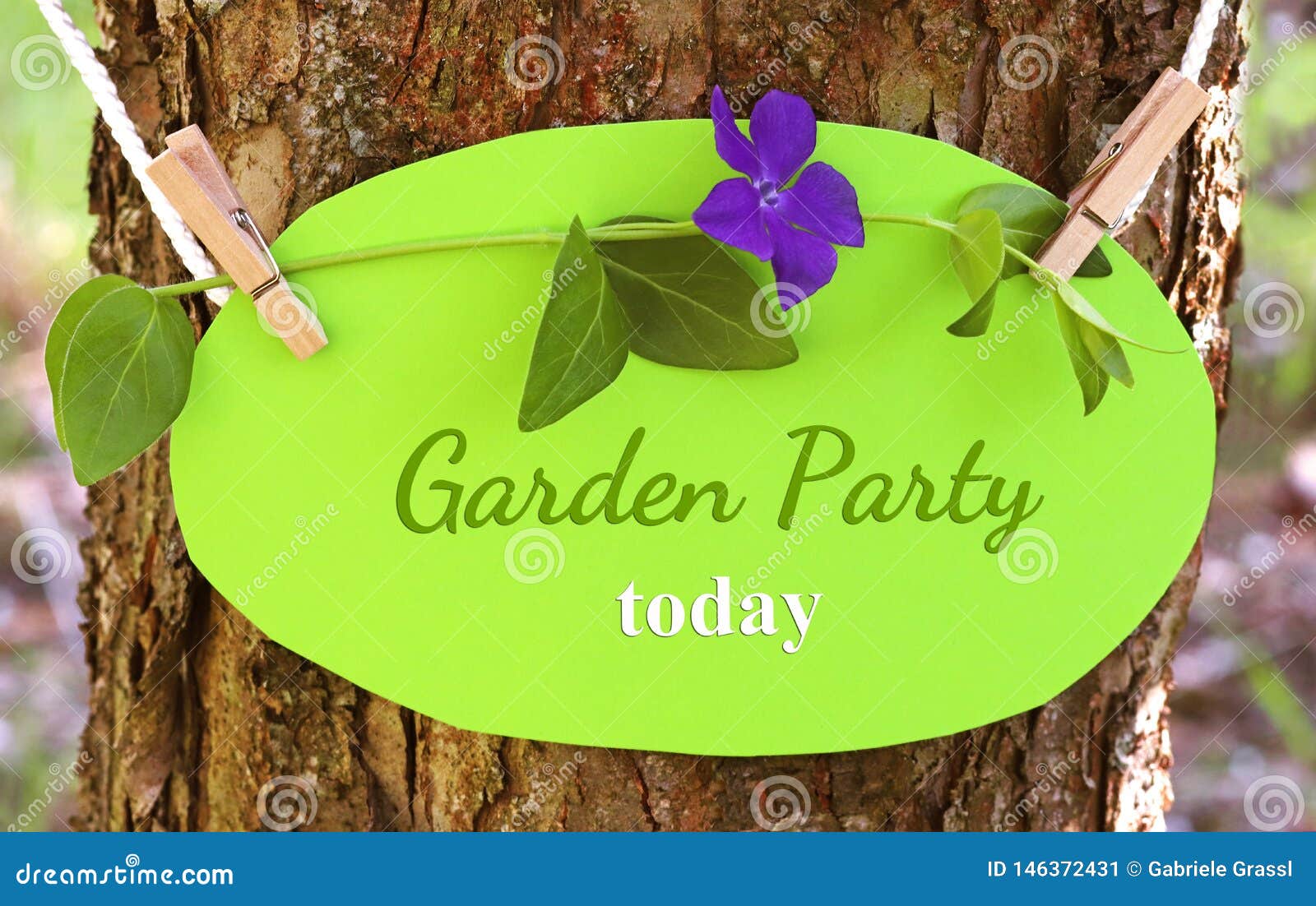 Garden Party Today, Shield with Text on a Tree Trunk Stock Image ...
