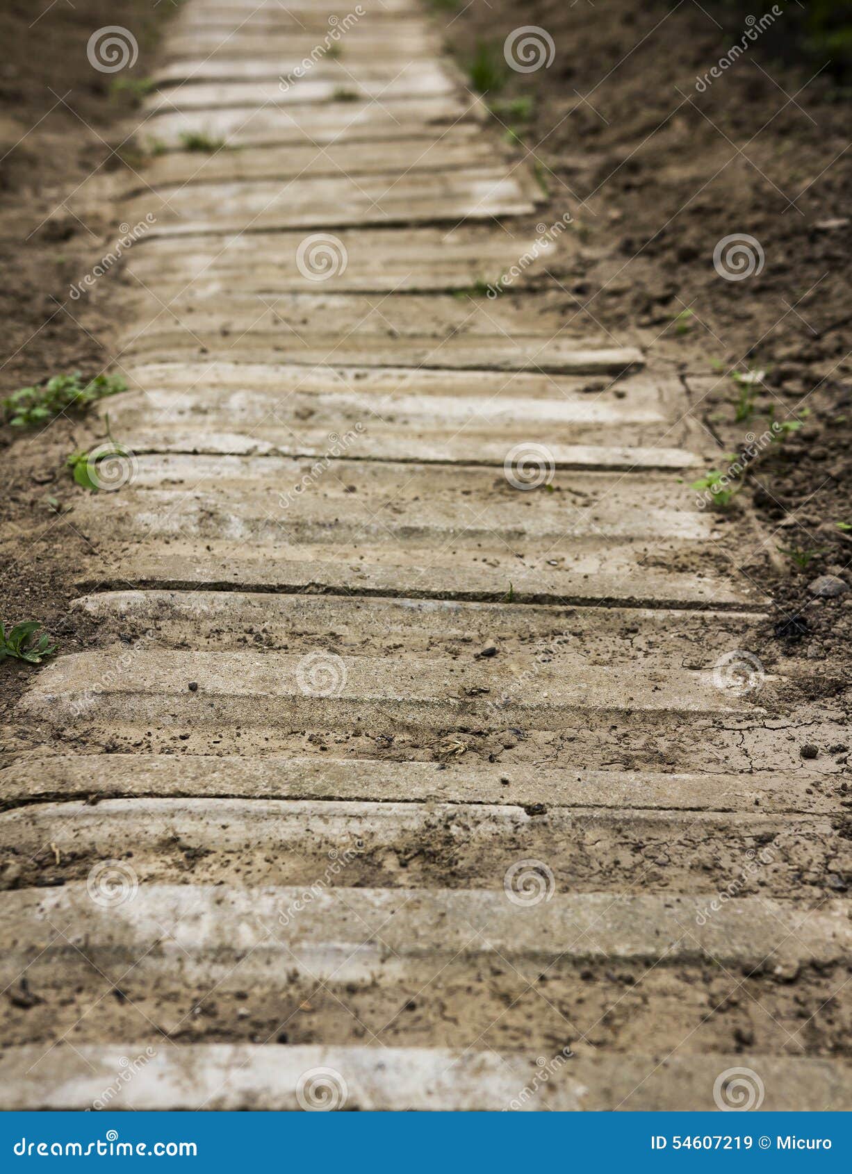 Garden patch with soil stock image. Image of gardening - 54607219