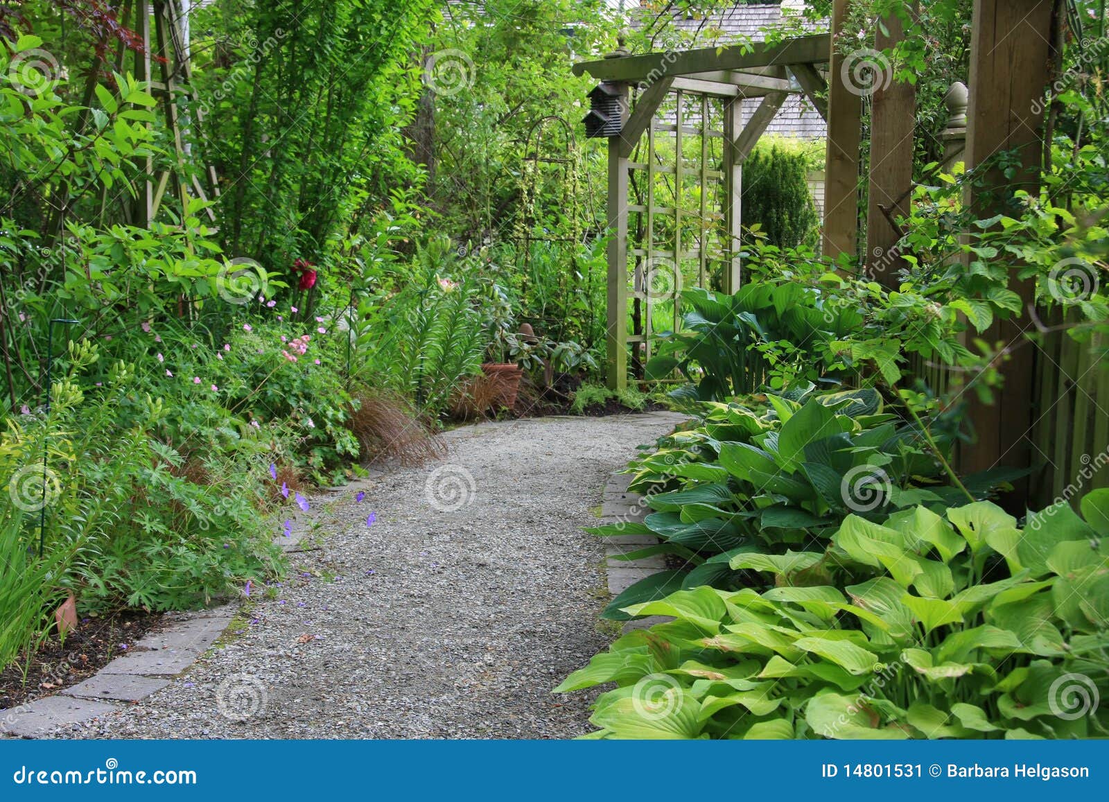 Garden path stock image. Image of walkway, greenery, shrubs - 14801531