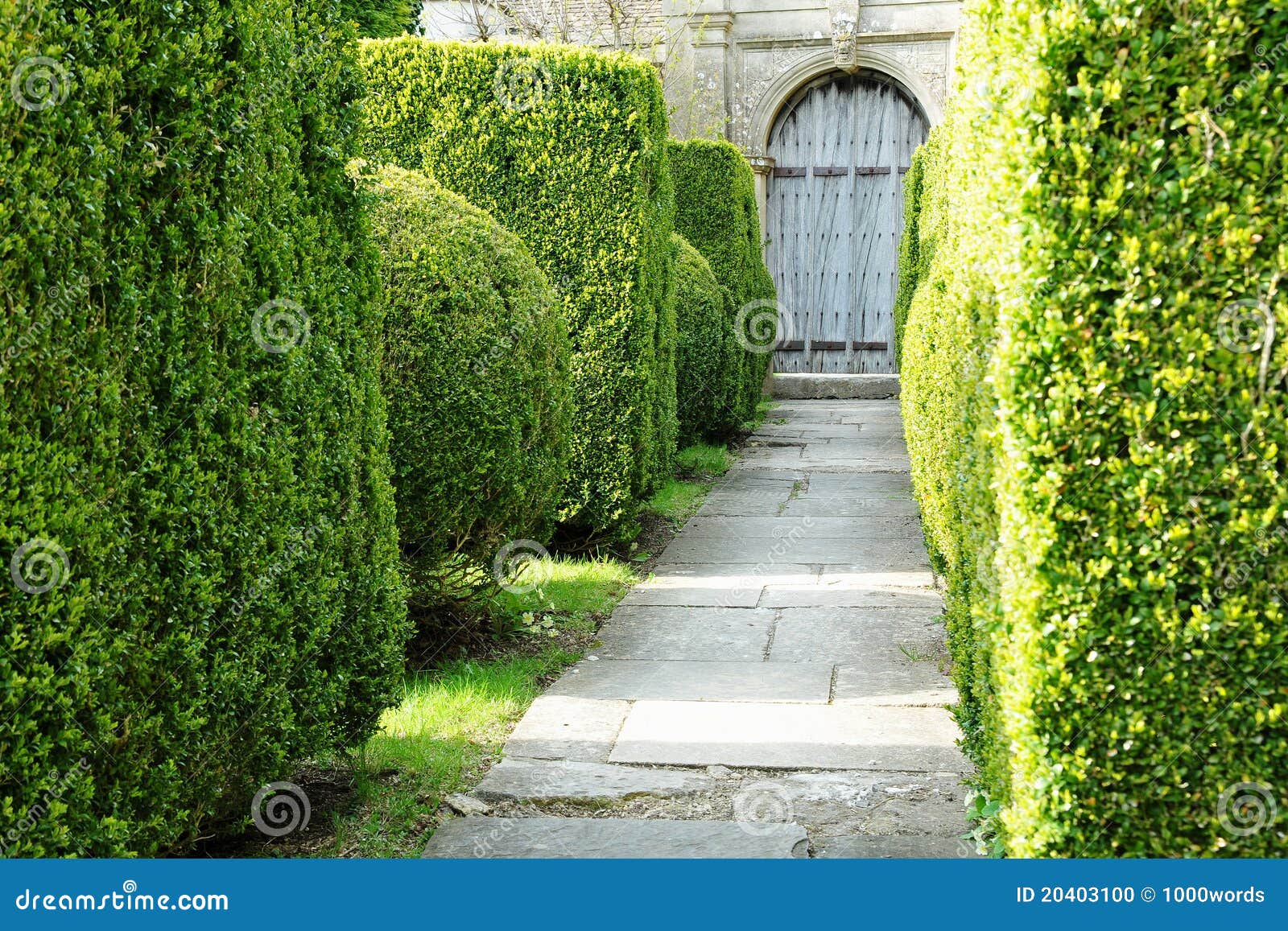 Garden Path stock photo. Image of hedgerow, gardens, hedge - 20403100