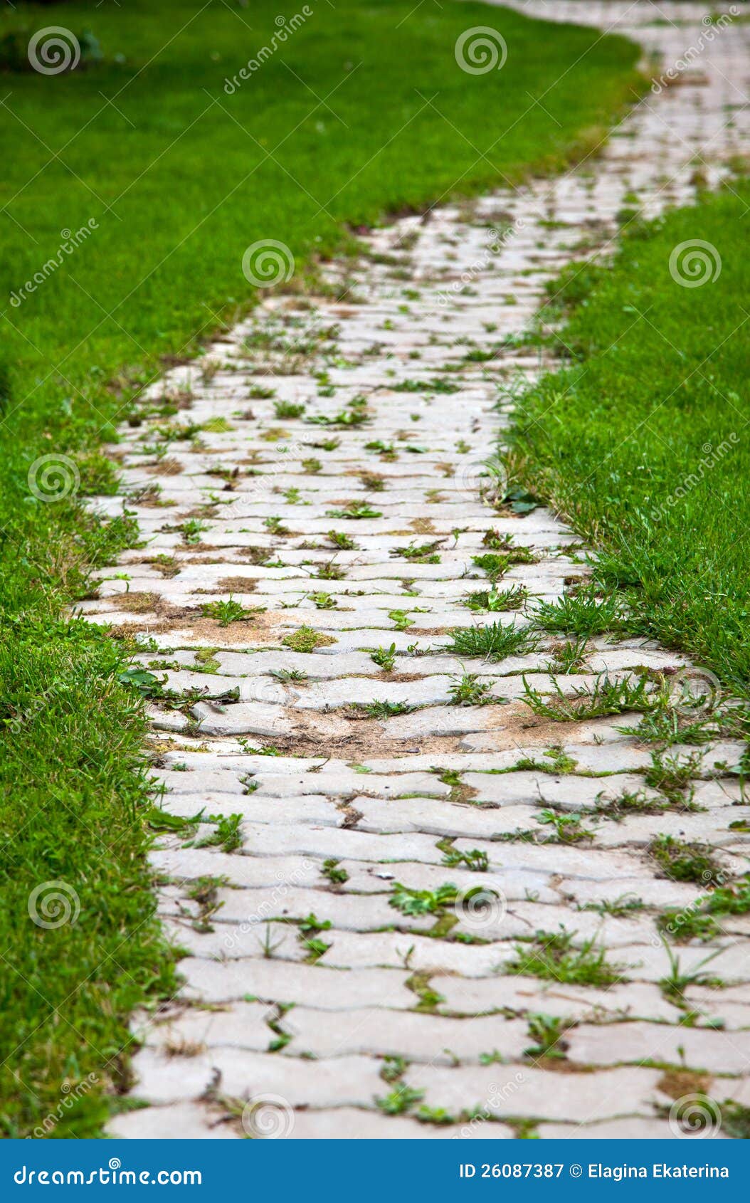Garden path stock image. Image of colorful, background - 26087387