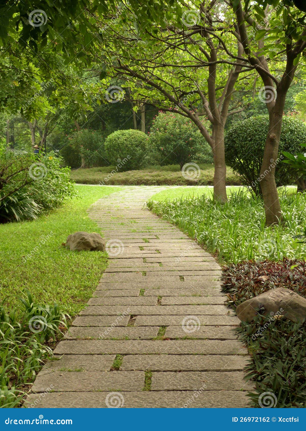 Garden path stock photo. Image of plants, grass, path - 26972162