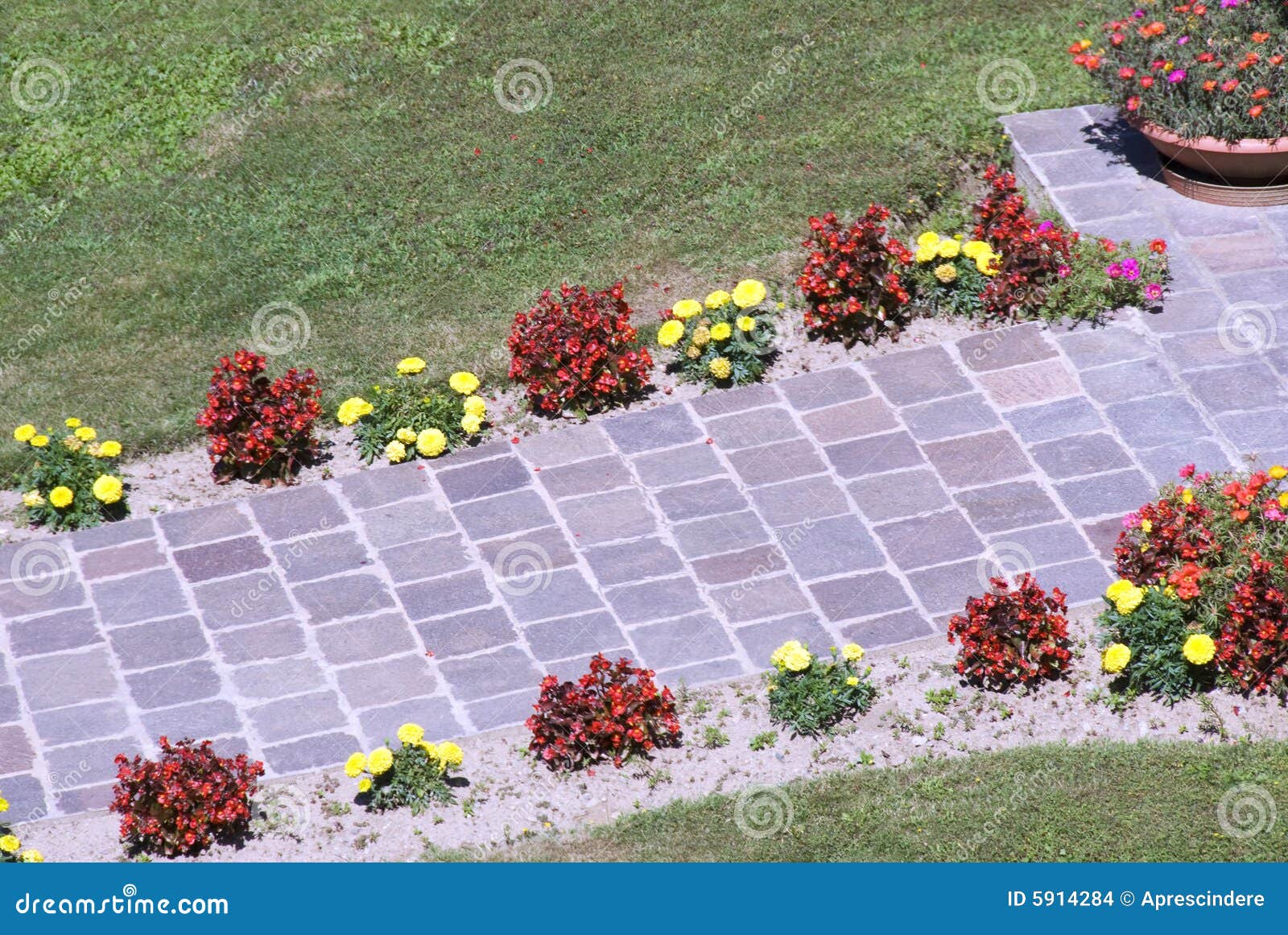 Garden path stock photo. Image of curve, bush, italy, cobble - 5914284