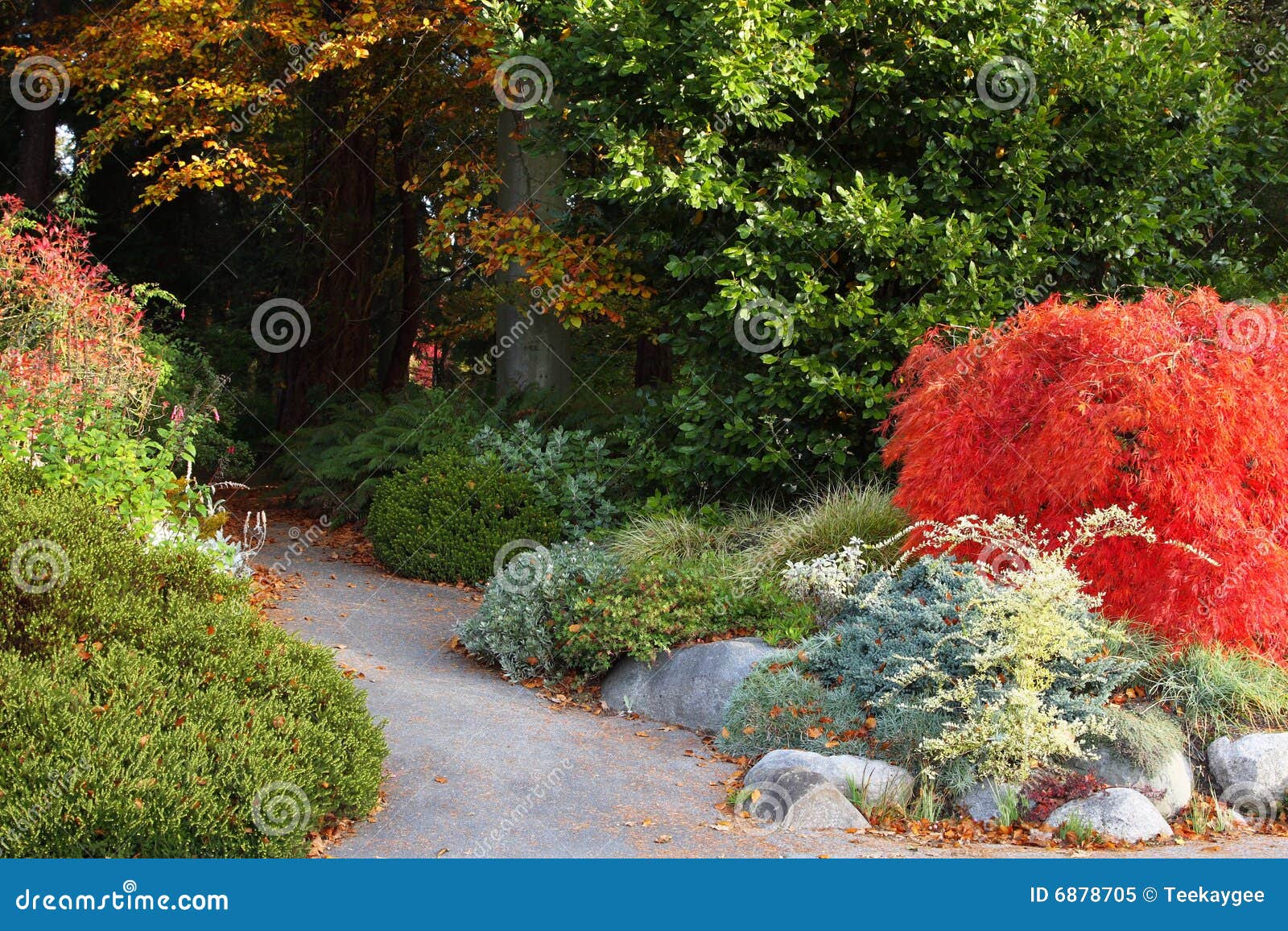 Garden path stock image. Image of shrub, bush, landscape - 6878705