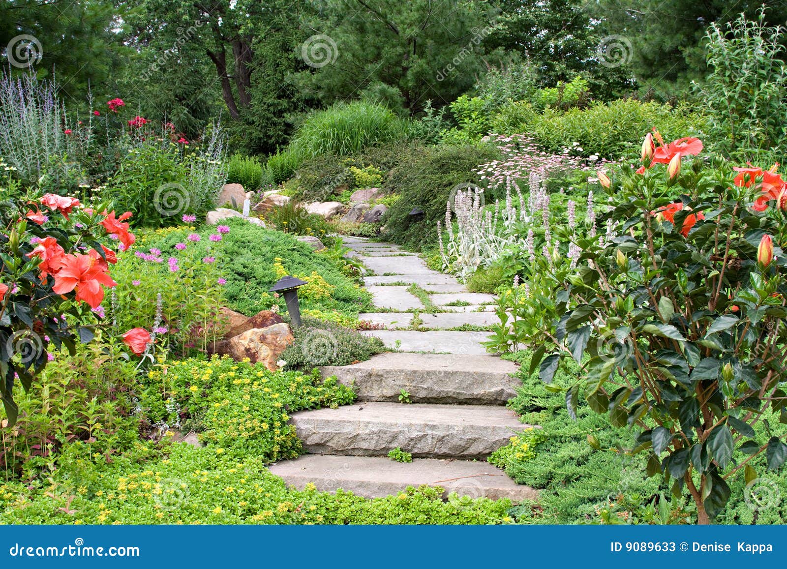 Garden Path stock image. Image of peaceful, path, english - 9089633