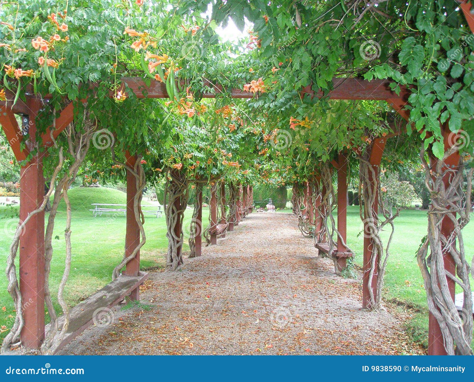 Garden path stock photo. Image of orange, path, walk, garden - 9838590