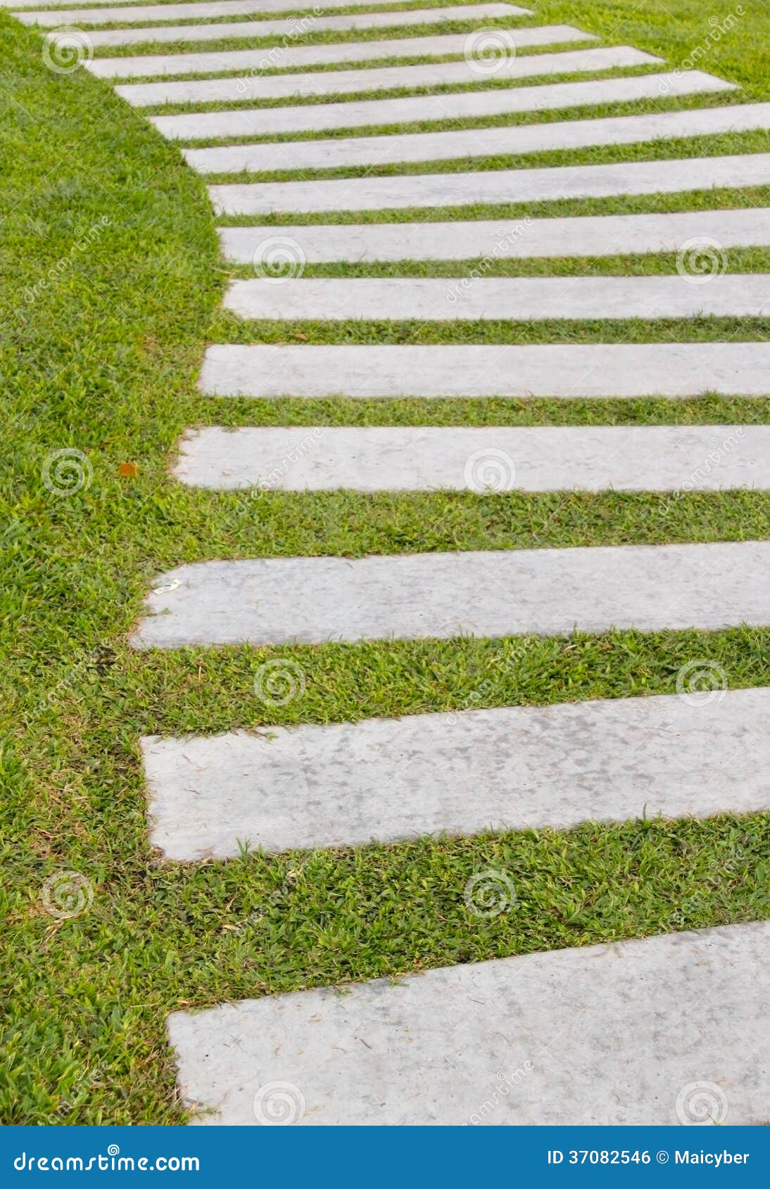 Garden path stock photo. Image of garden, concept, path - 37082546