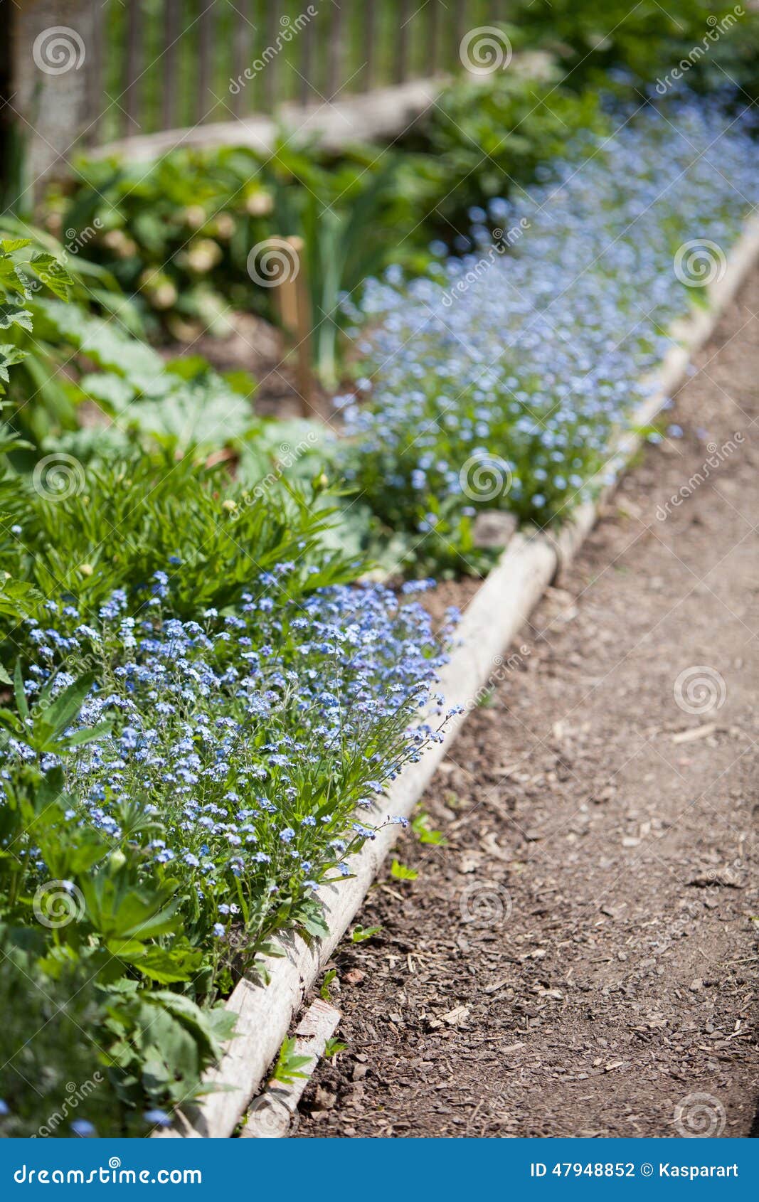 Garden path stock photo. Image of botany, footpath, blue - 47948852