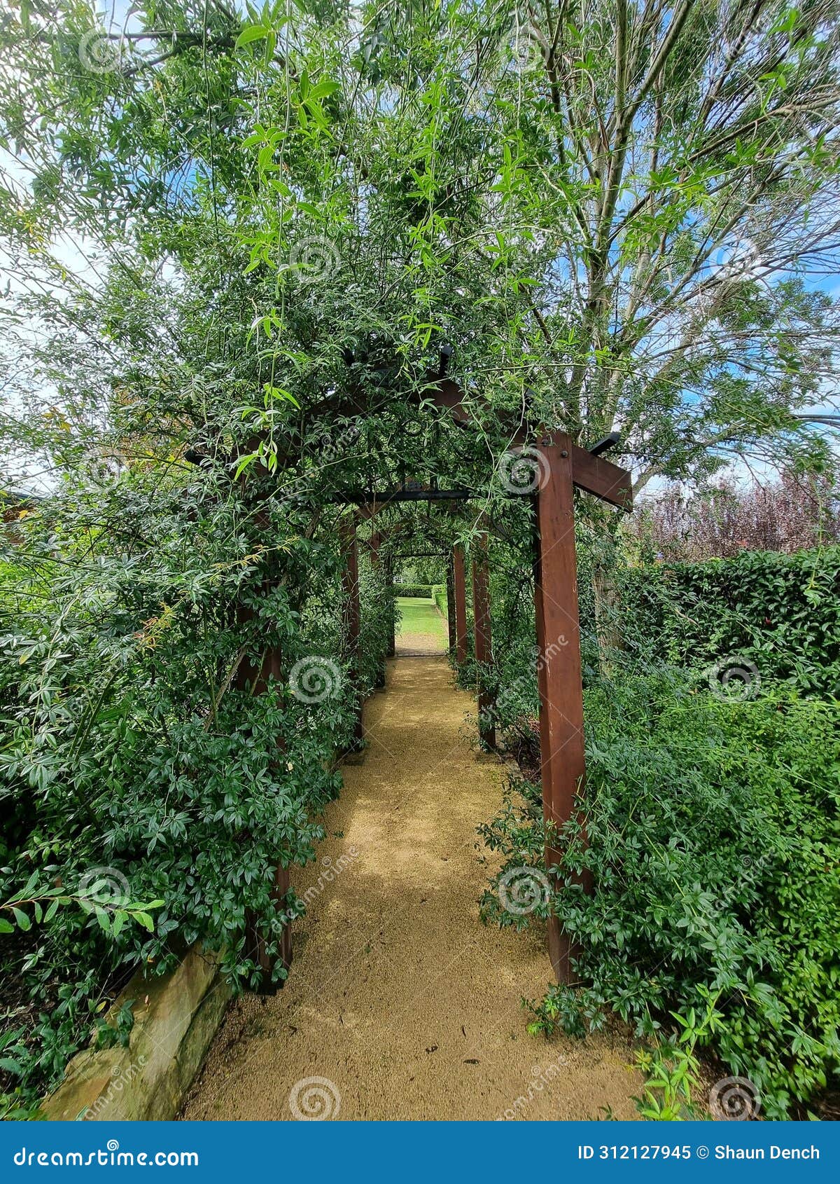 Garden Path and Arch Covered in Trees Stock Image - Image of water ...