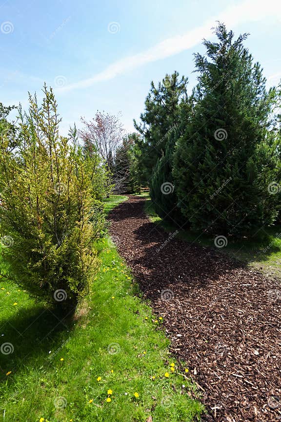 Garden Path with Bark Mulch Stock Photo - Image of botanical, nature ...