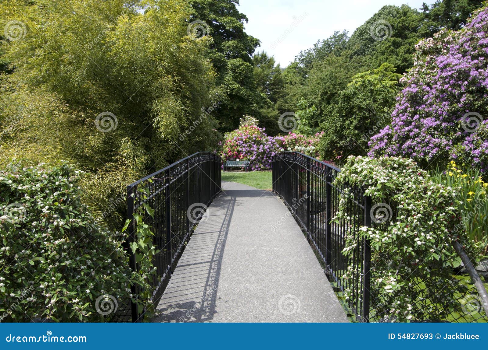 Garden path bridge stock image. Image of canada, bridge - 54827693