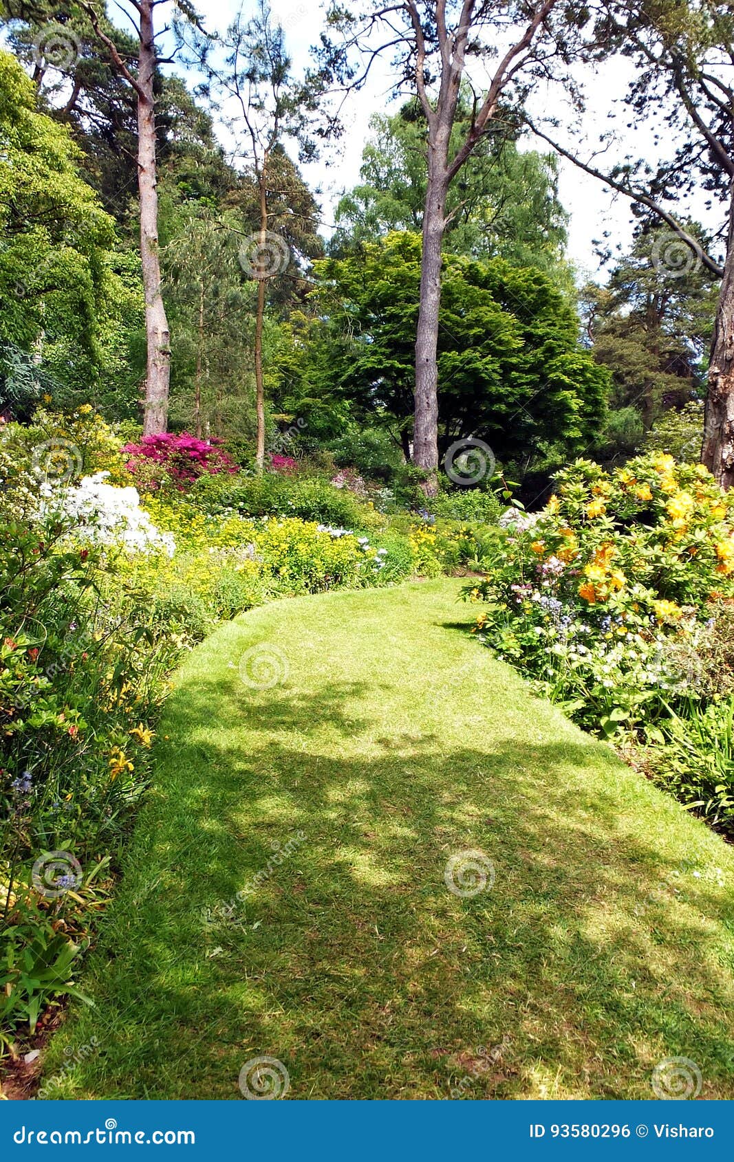 Garden Path stock photo. Image of grass, trees, english - 93580296