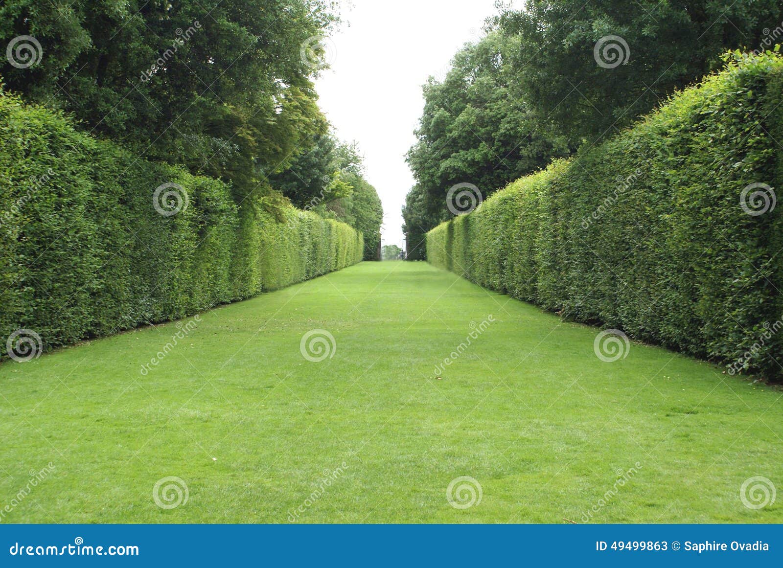 Garden Path. Garden Pathway. Stock Image - Image of scene, path: 49499863