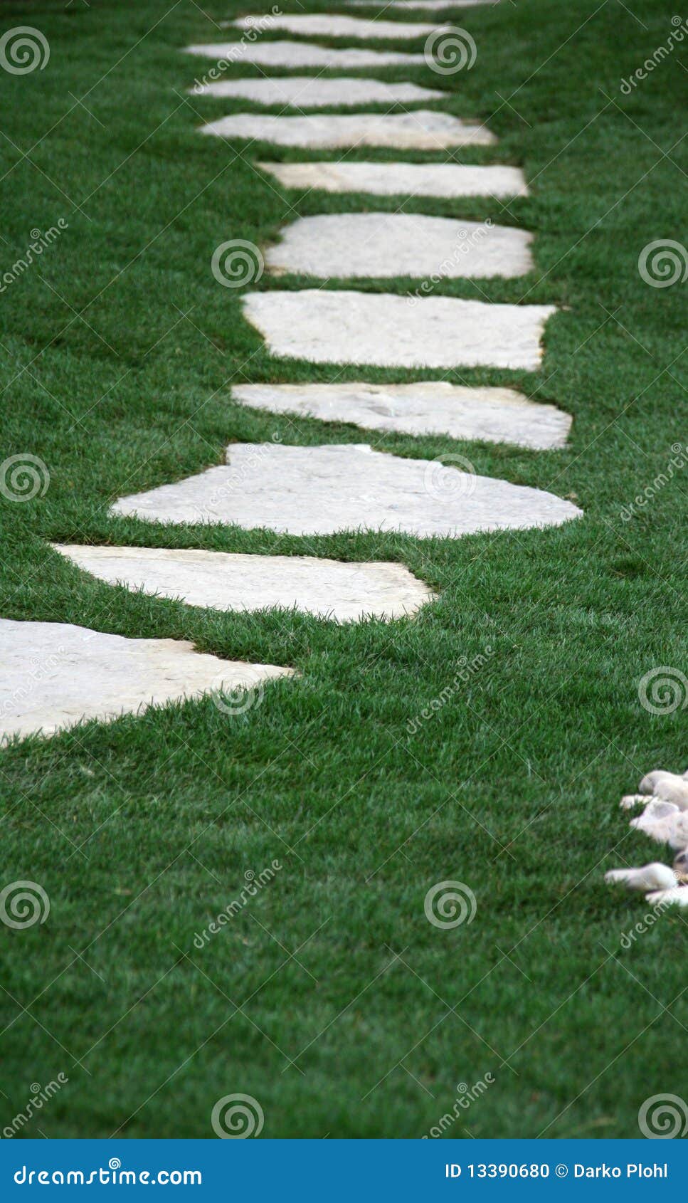 Garden path and grass stock photo. Image of green, pathway - 13390680