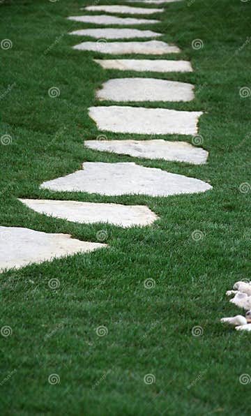 Garden path and grass stock photo. Image of green, pathway - 13390680