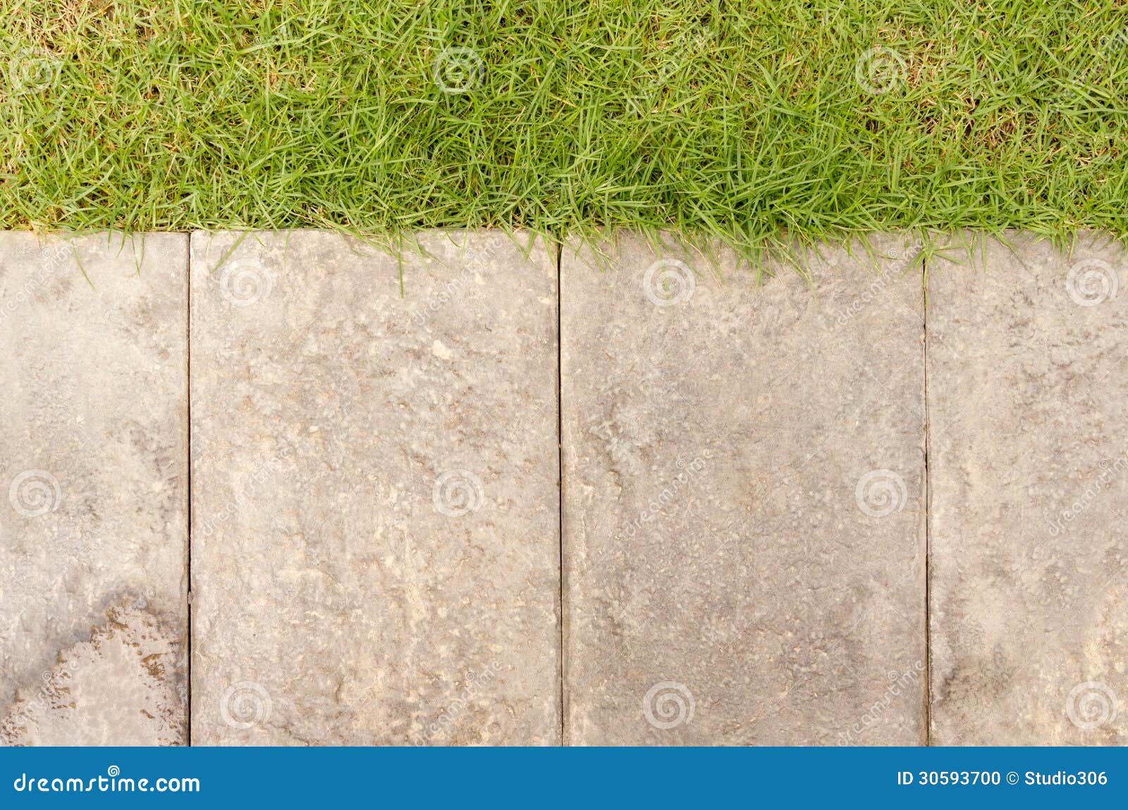 Garden Path with Grass Growing Up on Top Stock Photo - Image of park ...