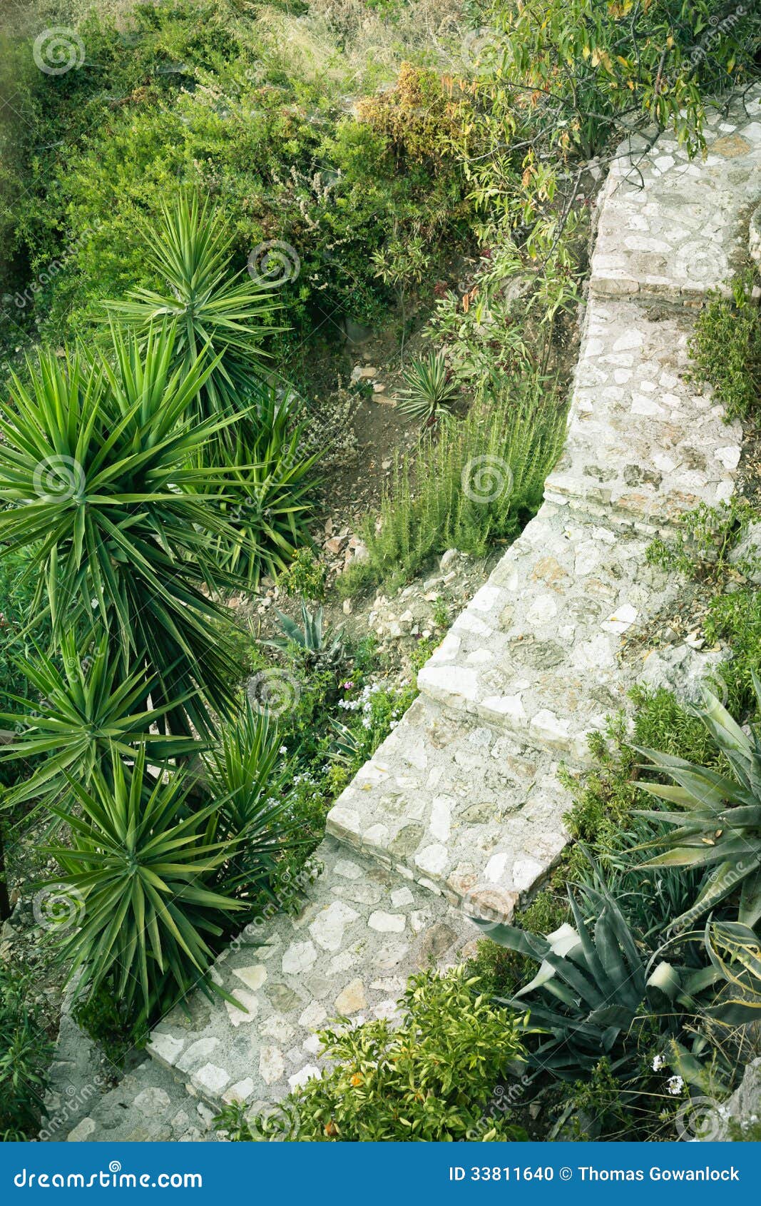 Garden path stock photo. Image of hillside, descending - 33811640