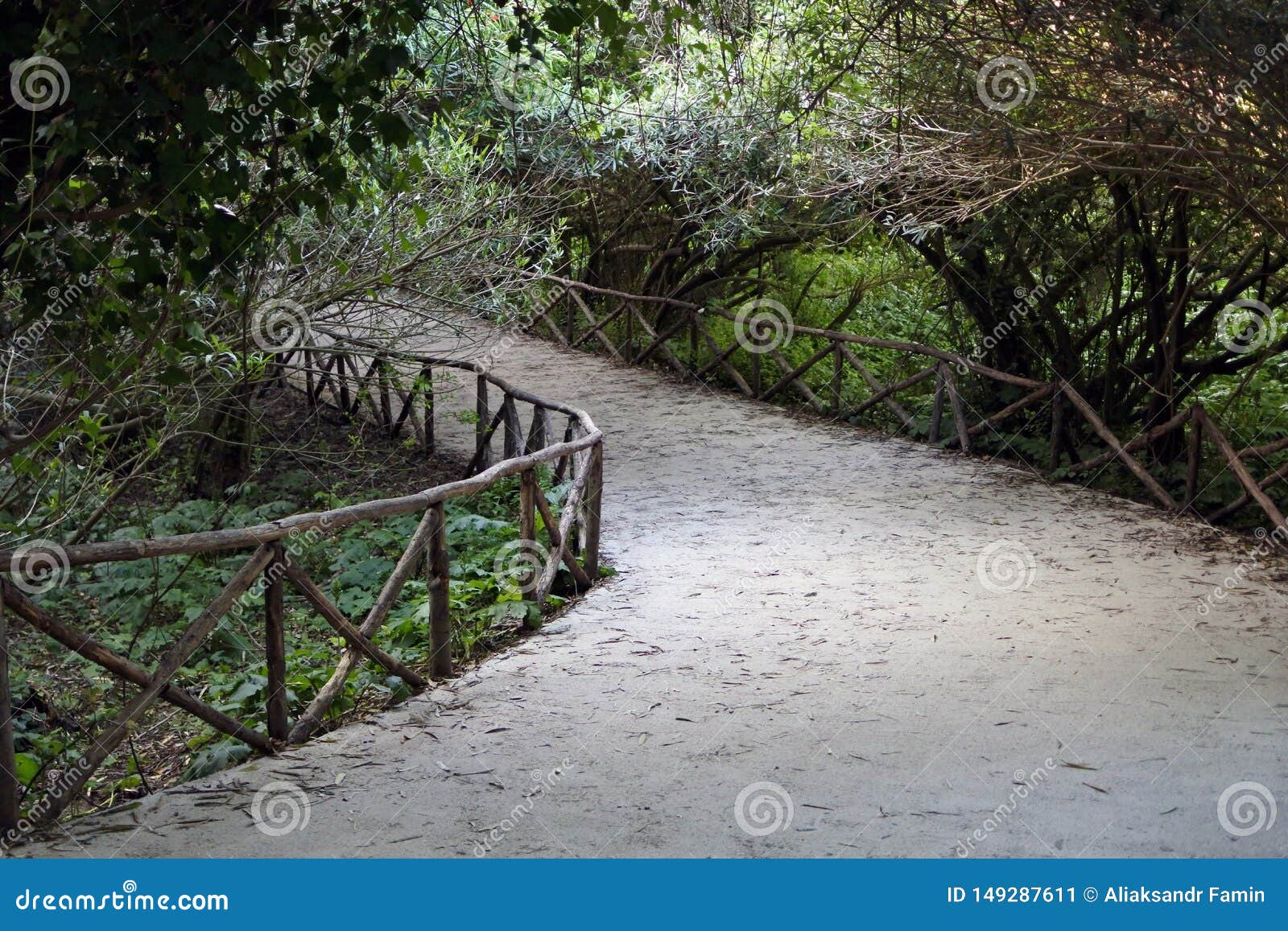 Garden Path through the Hedge. Green Arch of Woven Branches. Lush Green ...