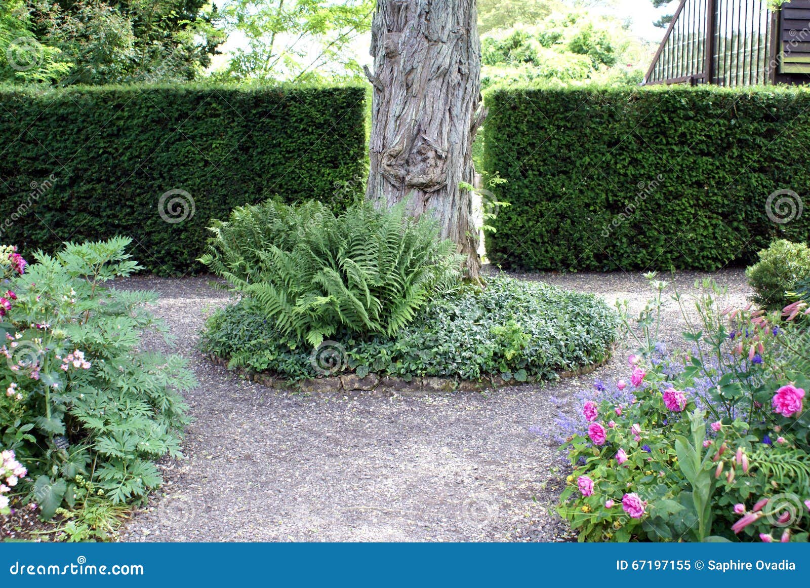 Garden Path and Herbaceous Borders Stock Image - Image of design ...