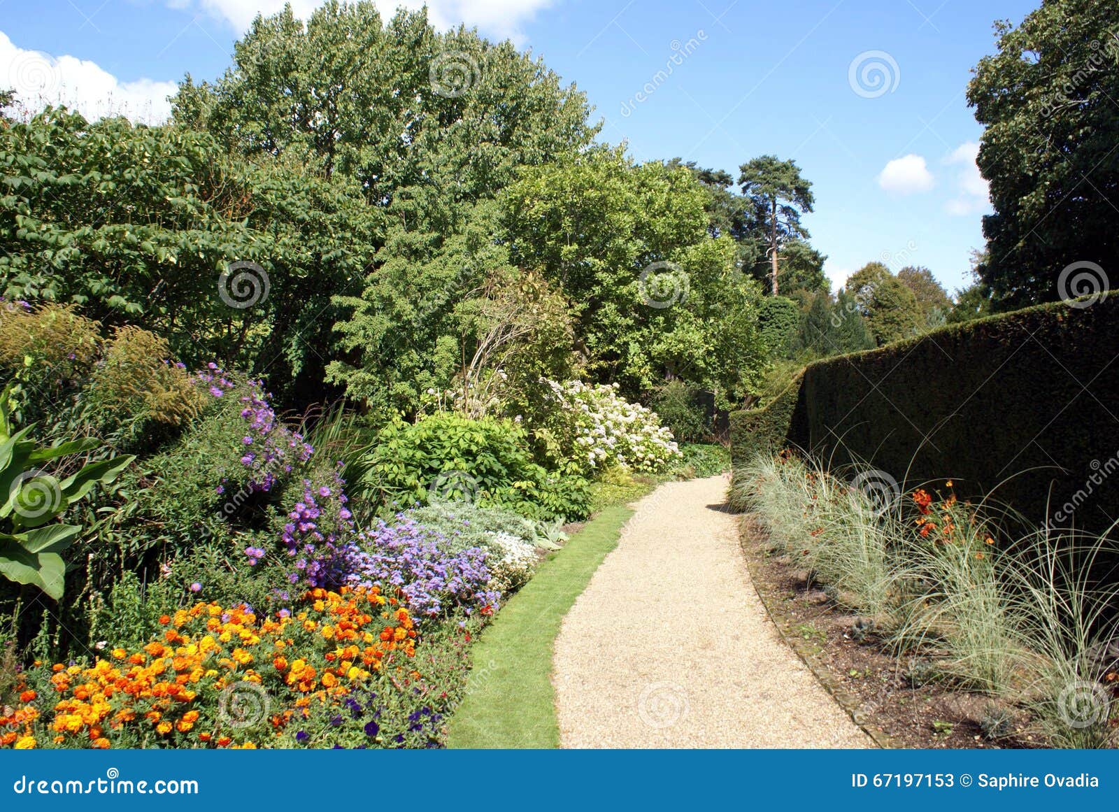 Garden Path and Herbaceous Borders Stock Image - Image of scenic ...
