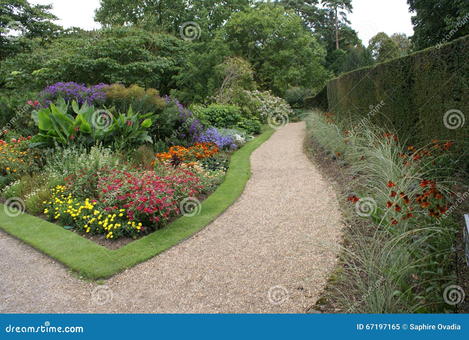 Garden Path and Herbaceous Borders Stock Image - Image of flower, lawns ...