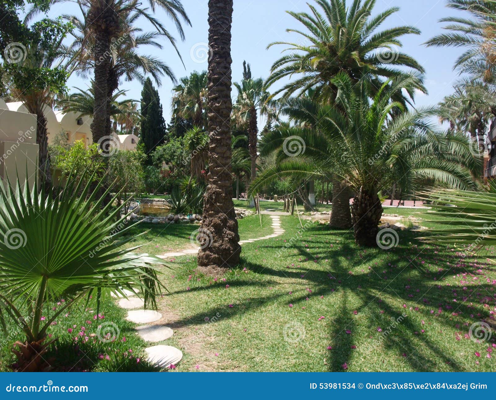 Garden path in the hotel stock photo. Image of pond, path - 53981534