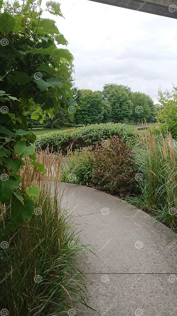 Garden Path Leading To a Gate Stock Image - Image of wall, shrub: 197894585