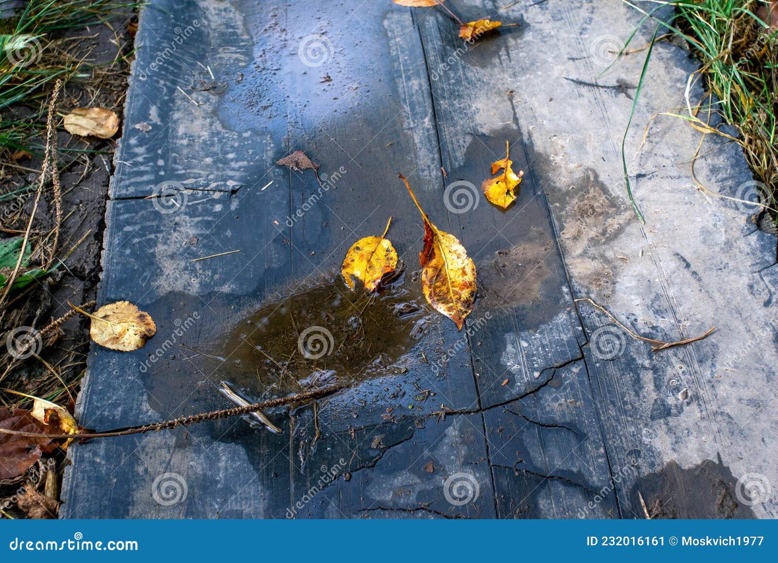 Garden Path Made of Rubber after Rain Stock Image - Image of ...