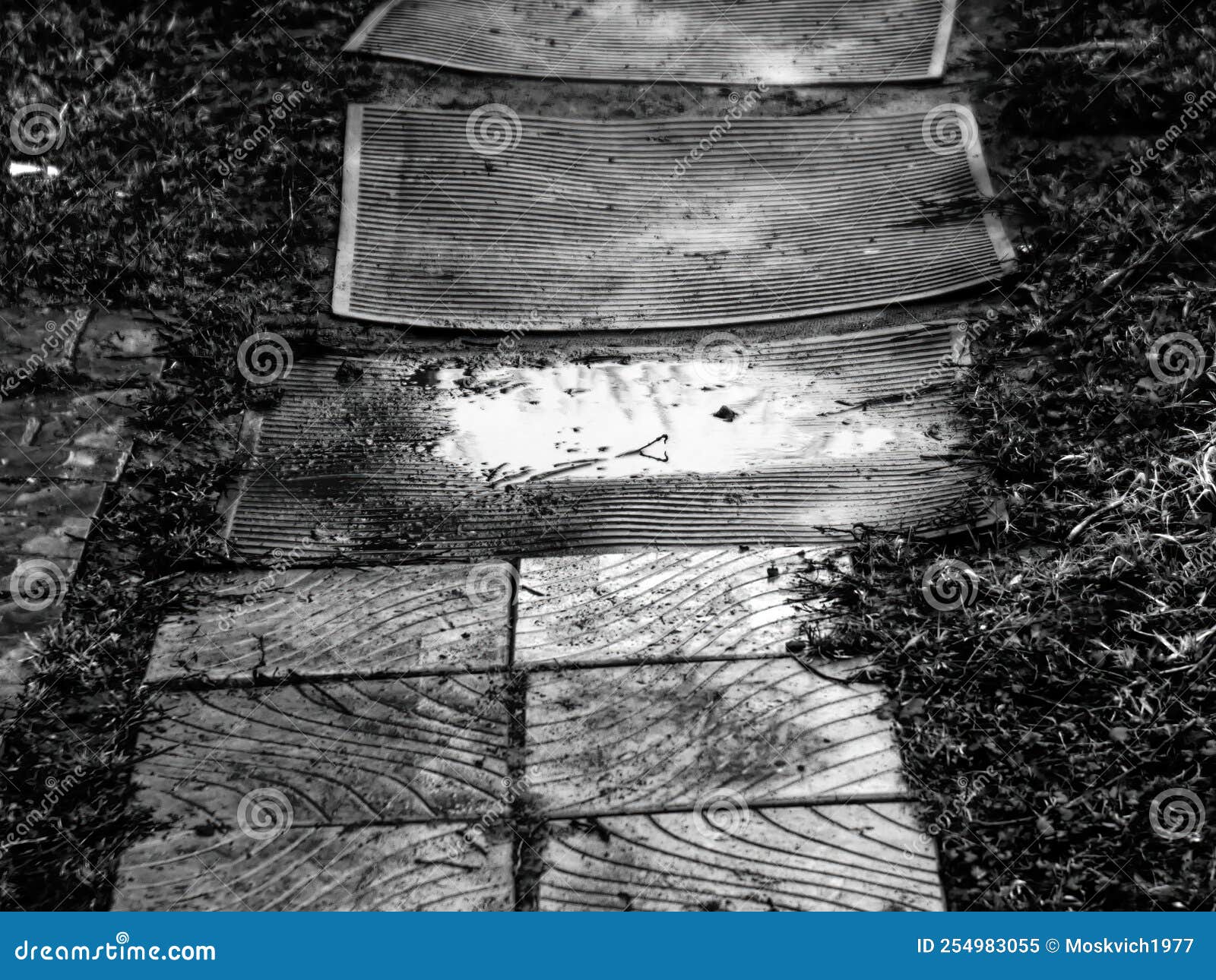 Garden Path Made of Slabs in Spring Stock Image - Image of rough ...