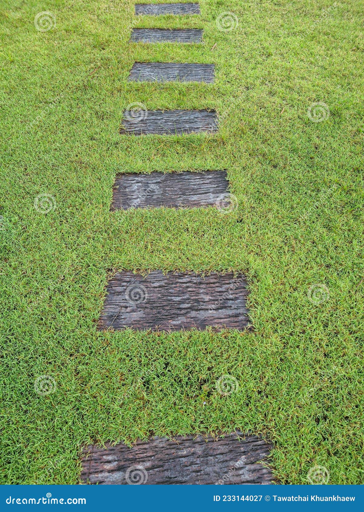 Garden Path Made of Wooden Planks Stock Image - Image of summer, road ...