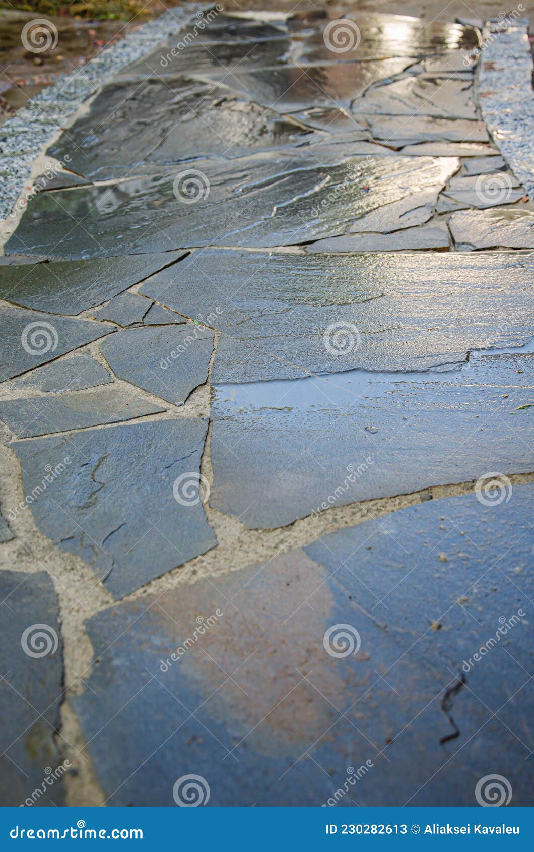 Garden Path with Natural Stone Slabs and Edging Made of Stones Stock ...